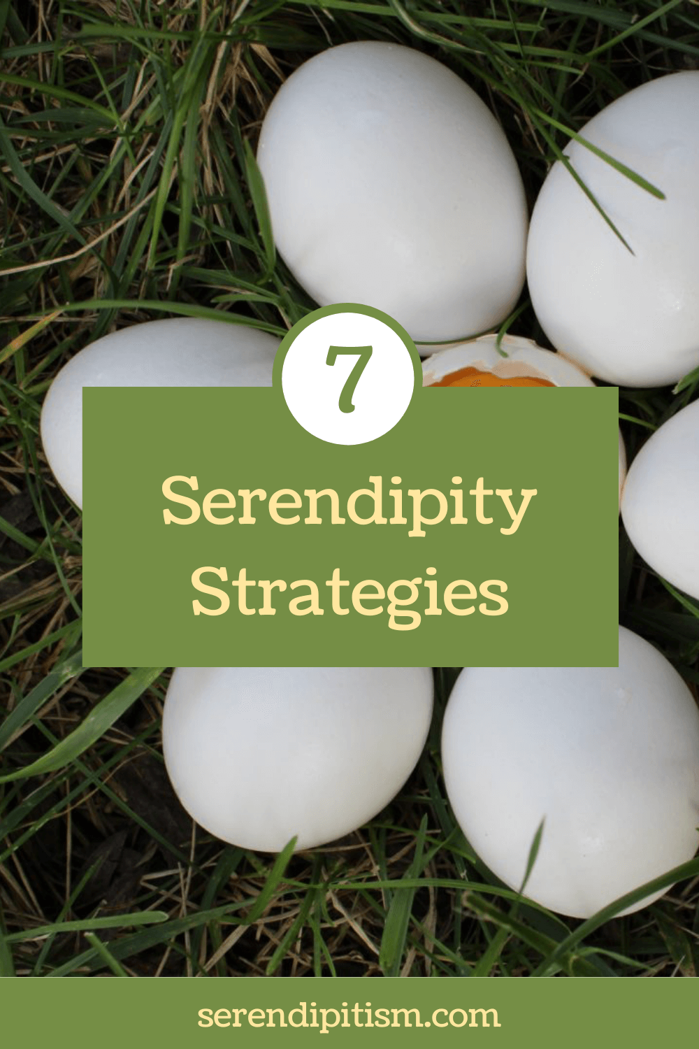 7 Serendipity Strategies - Serendipitism