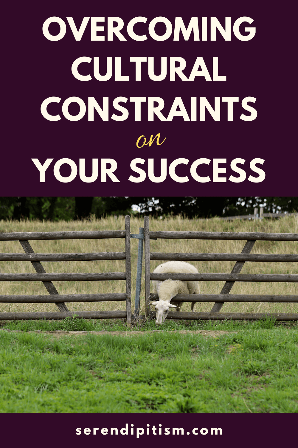 Overcoming Cultural Constraints on Your Success - Serendipitism