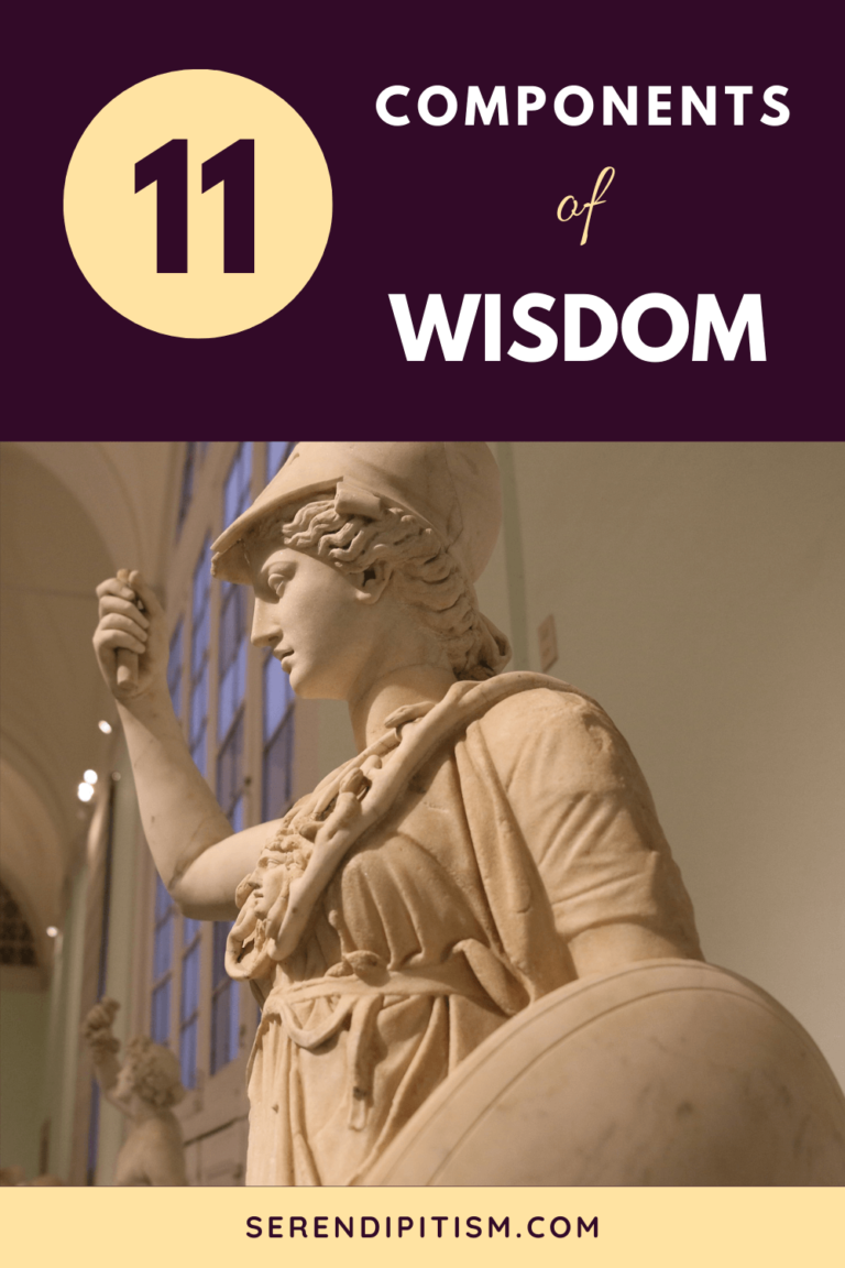 11 Components of Wisdom - Serendipitism