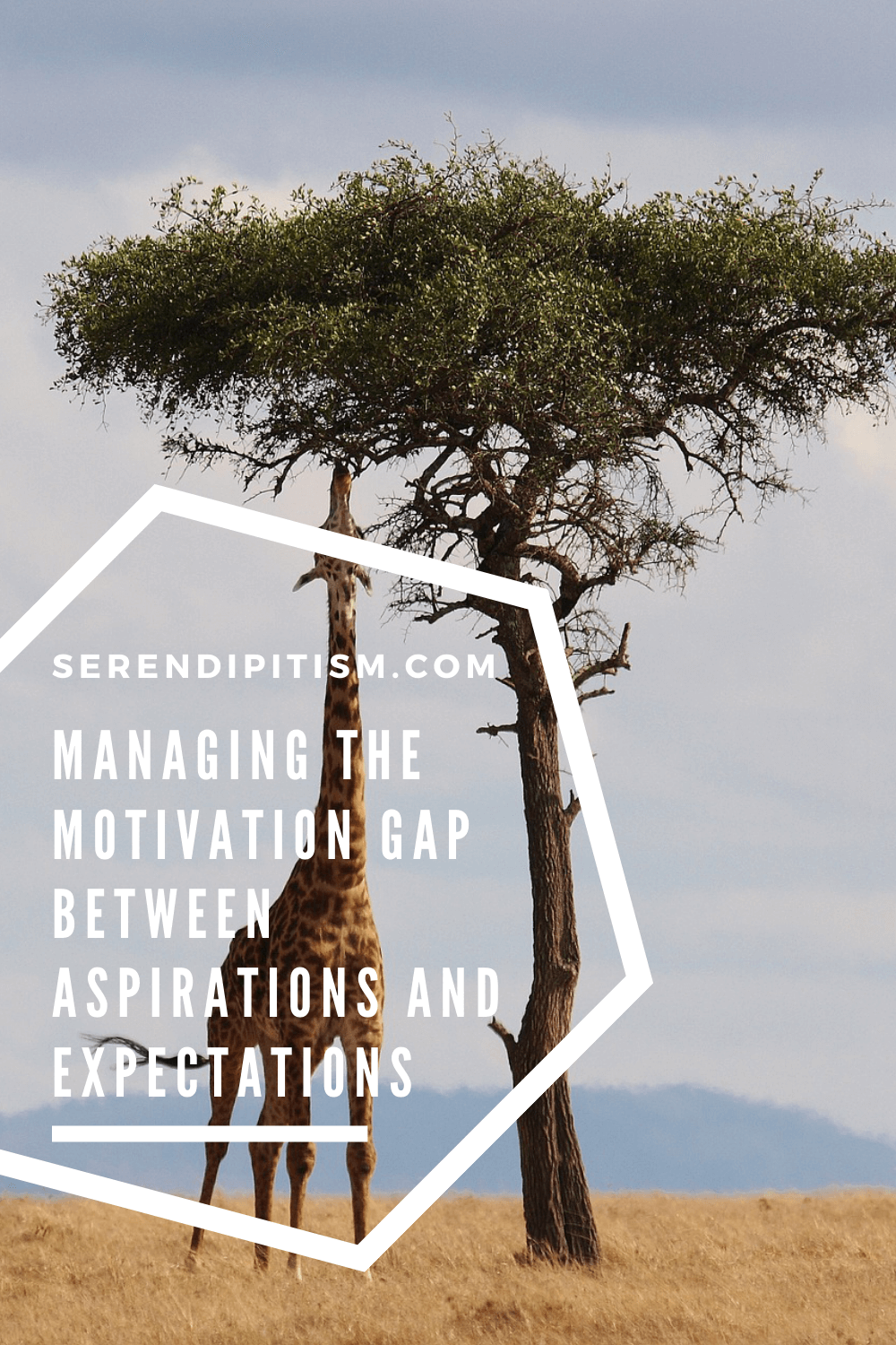 Managing the Motivation Gap between Aspirations and Expectations ...